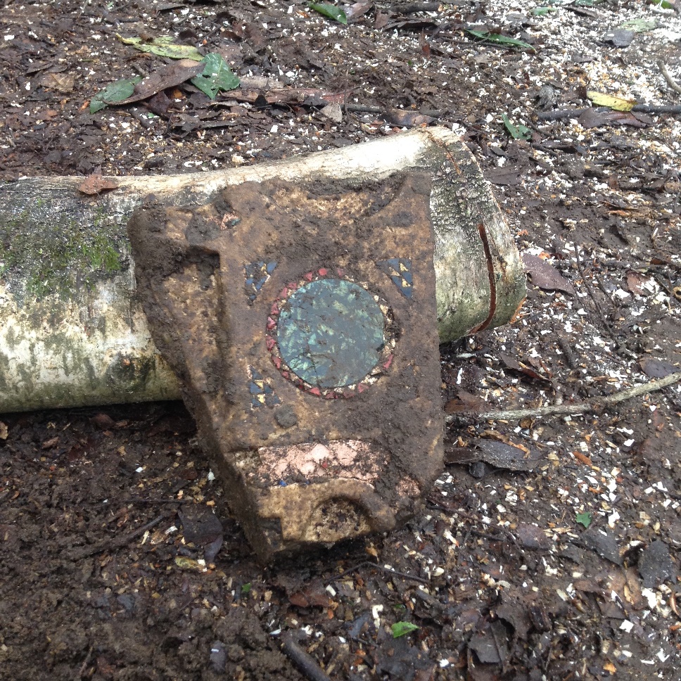 Friends of Deepdene: Volunteer Update – The Deepdene Trail blog