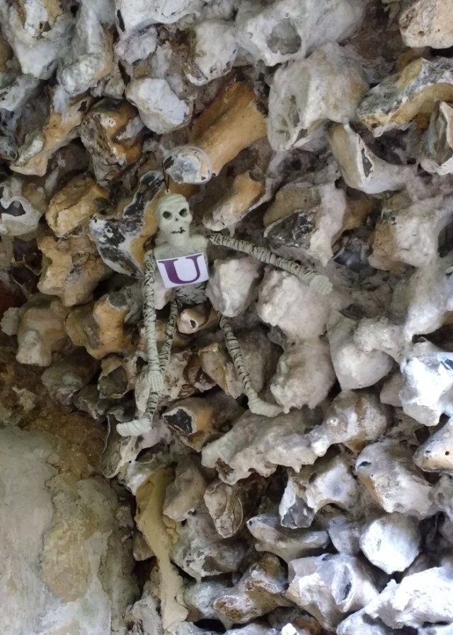 sneaky-skeleton – The Deepdene Trail blog