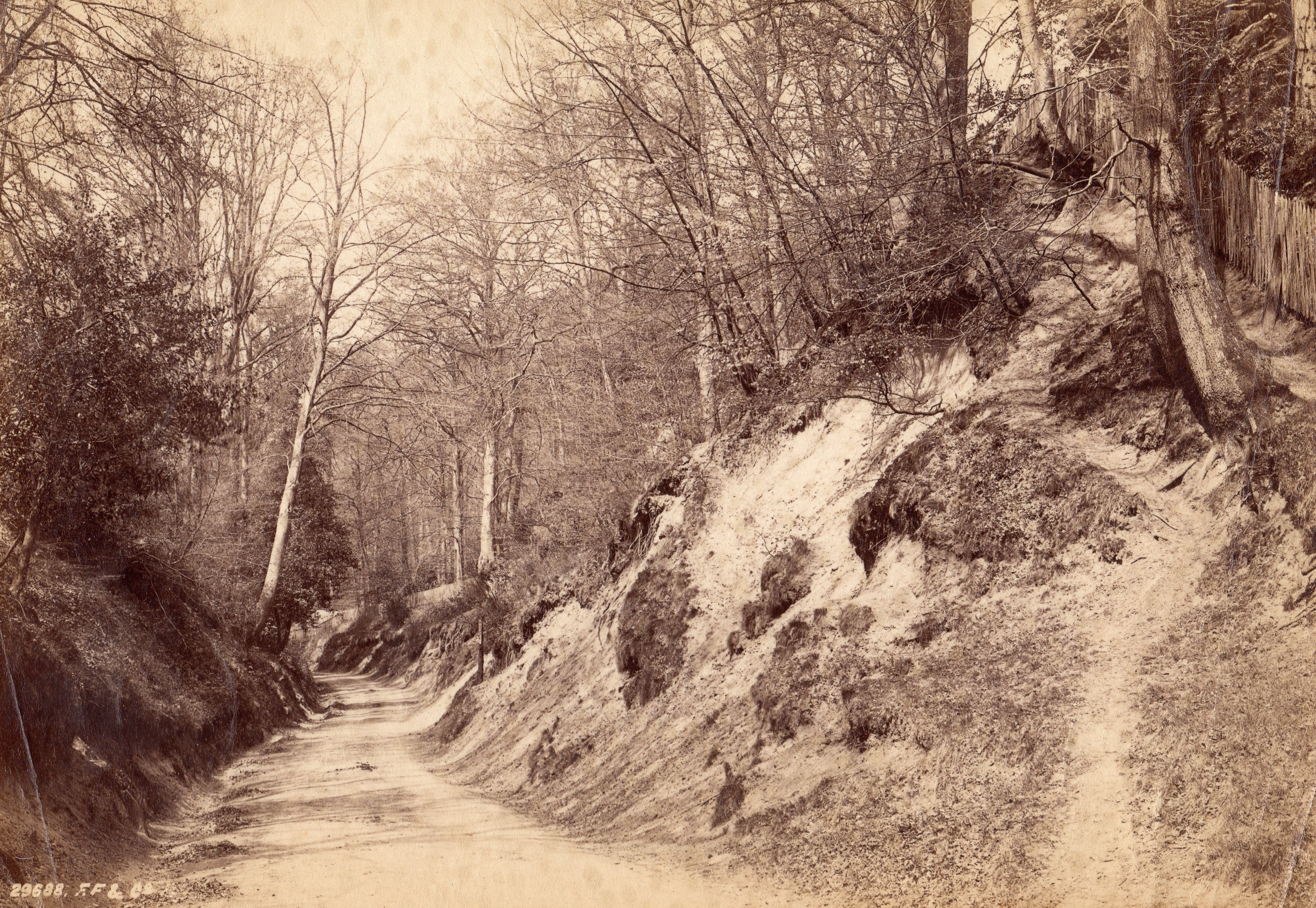 History – The Deepdene Trail blog